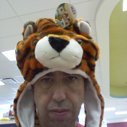 Stream Broken Wing 2014 by Steve Gatto | Listen online for free on ...