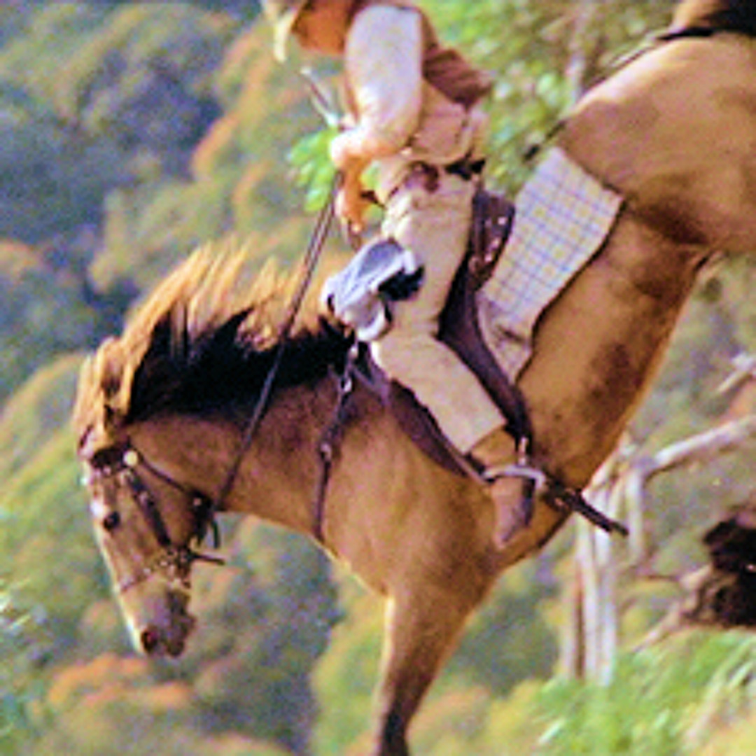 Stream The Man From Snowy River (Read By B Sutton - Power) by Bernard ...