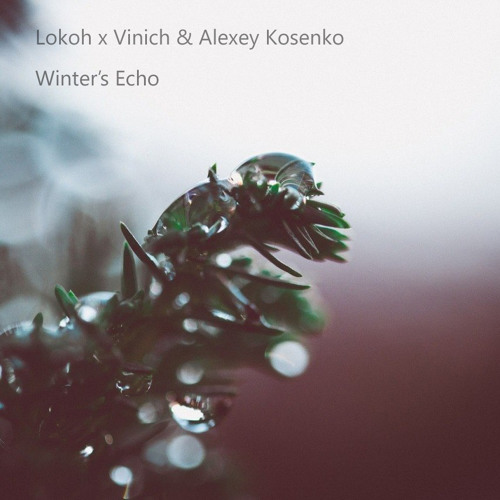 Stream Lokoh x Vinich & Alexey Kosenko - Winter's Echo by Lokoh | Listen online for free on ...