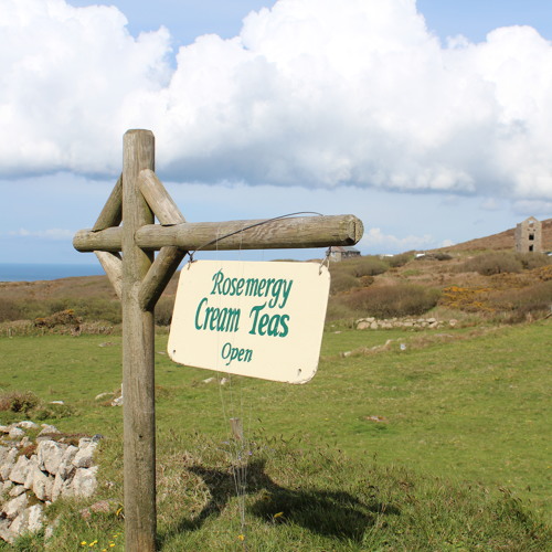 Stream Guest Check by William Theodore Panos | Listen online for free ...