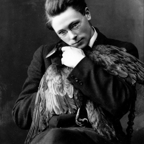 Stream Retain A Calm Heart, Sit Like A Turtle, Walk Swiftly Like A ...