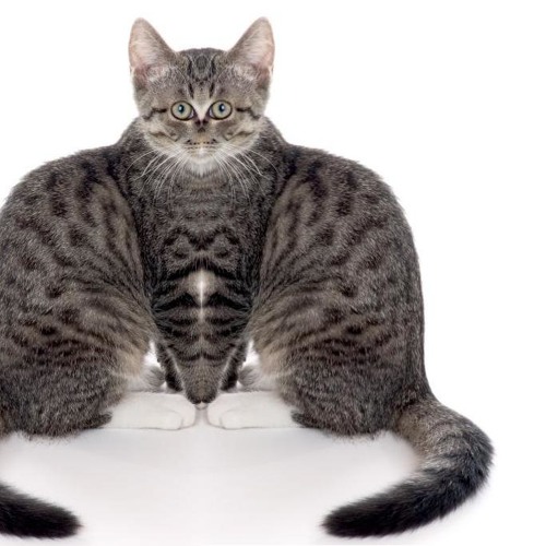 Stream TBA DEMO by Tuneblasterz | Listen online for free on SoundCloud