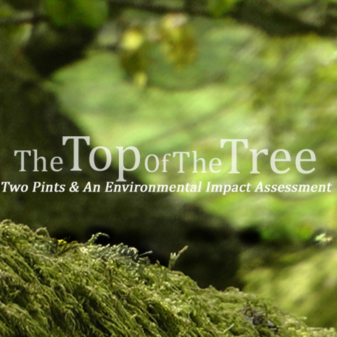 Stream Two Pints & An Environmental Impact Assessment by Andy's Top Of ...