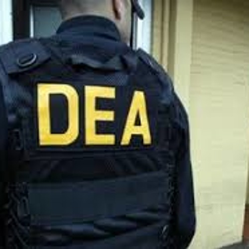 Stream DEA To Train City’s Drug Task Force by Primedia Broadcasting ...