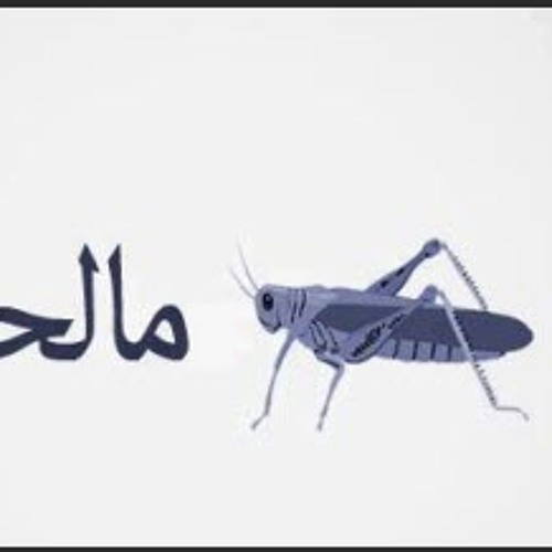 Stream Jrada Mal7a- Achtatata - أجرادة مالحة ـ أشتاتاتا - 360p by prof ...