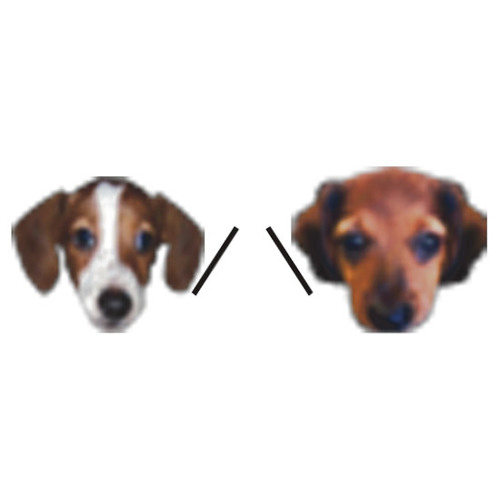 Frankerz