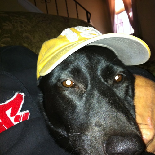 Stream Just In Time - Michael Eli by Michael Elia | Listen online for ...