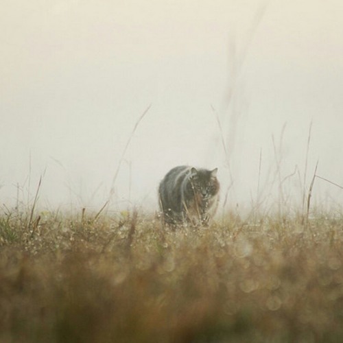 Stream Carlos Banegas - Forgotten Self (Original Mix) by Carlos Banegas ...