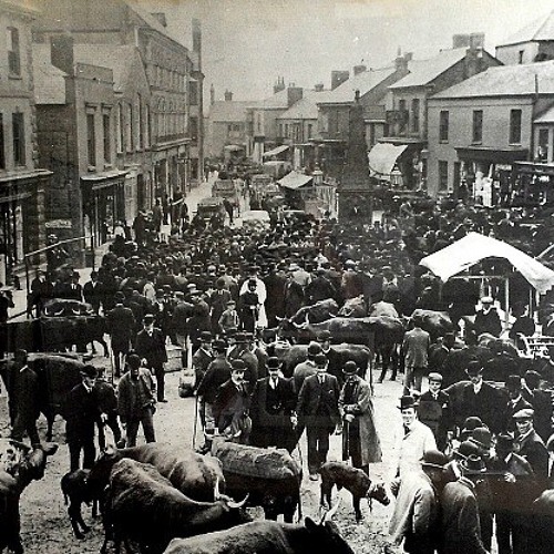 Stream Hairy Arsed Red Cattle by Marc Woodward | Listen online for free ...