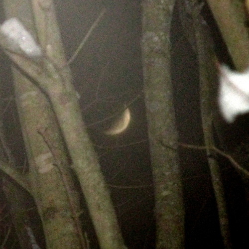 Stream Victorian (Geyser Version) by anvil in the lake | Listen online ...