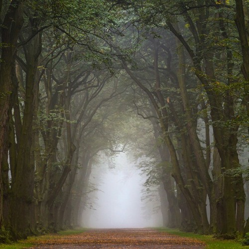 Stream Piano - Ha Yan Yun In Deul (Yoo Jin_Joon Sang Theme Ost. Winter ...