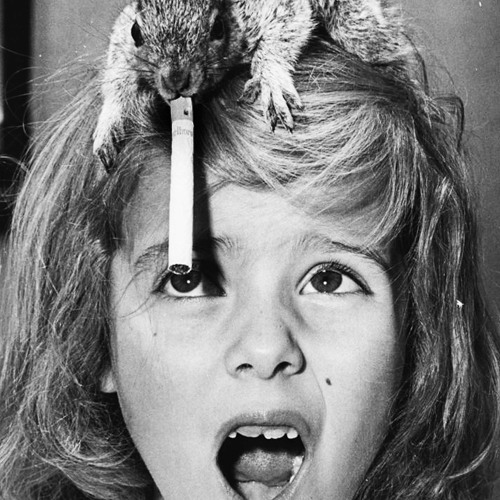 Stream Martin The Bigoted British Squirrel by Jilly Boel | Listen ...