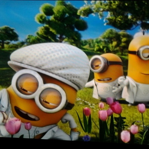 Stream Los chones a Minion by Castelán Maldonado Isaac | Listen online ...