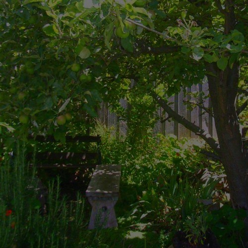 Stream A Lesson Heard by muck house | Listen online for free on SoundCloud