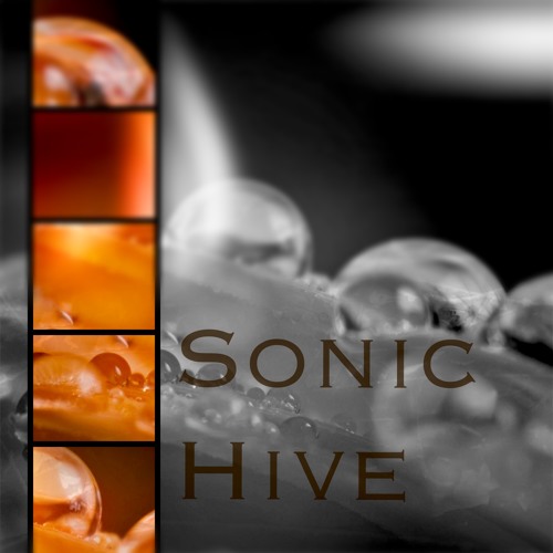 Stream Sonic Hive by Mainserve | Listen online for free on SoundCloud