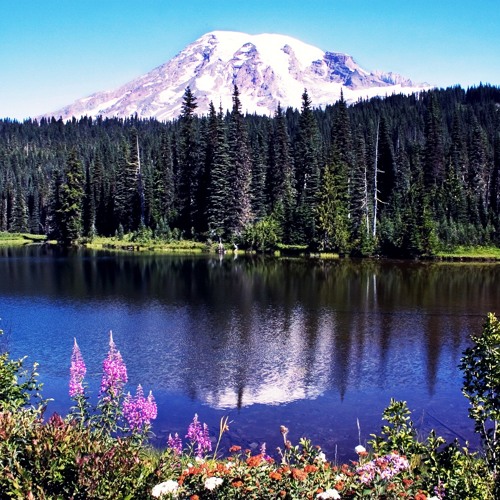 Stream Des - All My Life by Destry Jones | Listen online for free on ...