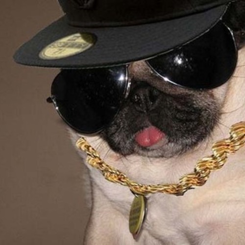 Stream SENATOR LUDLAM, DISS MASTER by Elizabeth DeLoria | Listen online ...