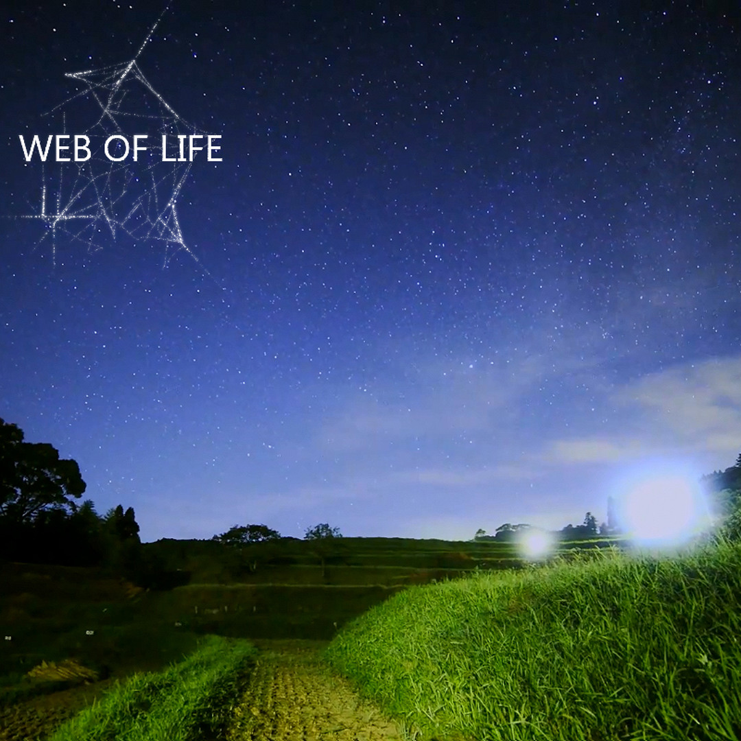 Stream Man Of No Ego | Listen to Web Of Life (432hz) playlist online ...