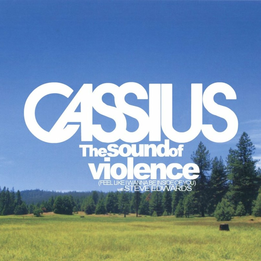 Stream Cassius - Stop The Sound Of Violence(Ben Winkler Bootleg) by dj ...