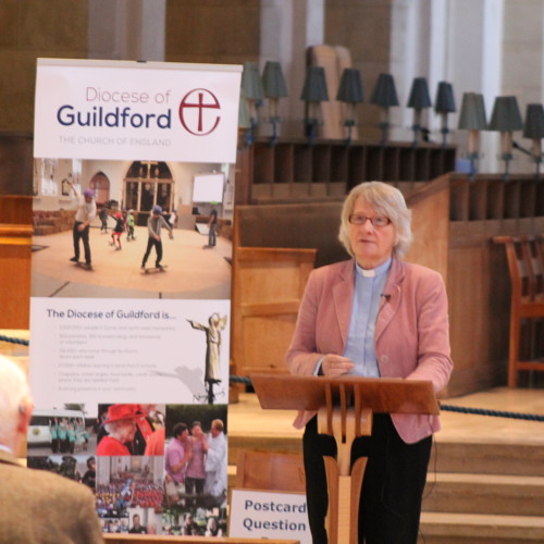 Stream Canon Dr Hazel Whitehead introduces Common Ground by The Diocese ...
