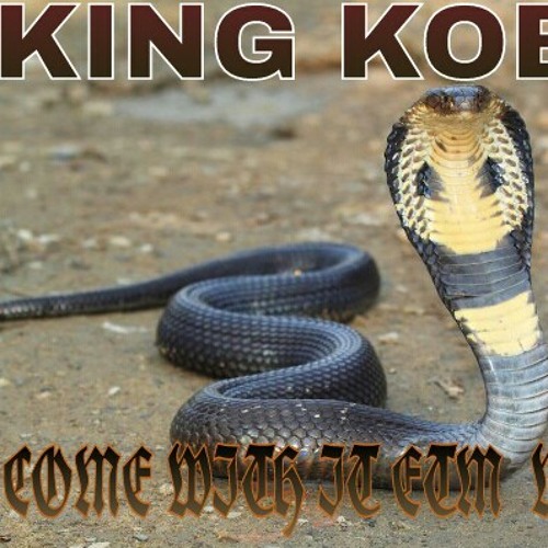 Stream KING kobra LIFE tragedy at Gravestone of venom by kingkobra35 | Listen online for free on ...