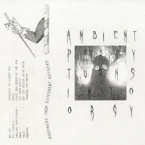Stream Bfdmrec Listen To Bfdm002 Various Ambient Party Turns
