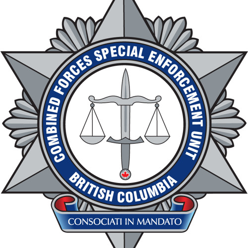 Stream Arrests and Charges Laid in Investigation into Independent ...