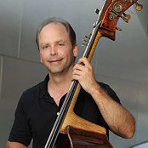 Stream Chris Hanulik plays Bach Suite V transcribed for double bass by ...