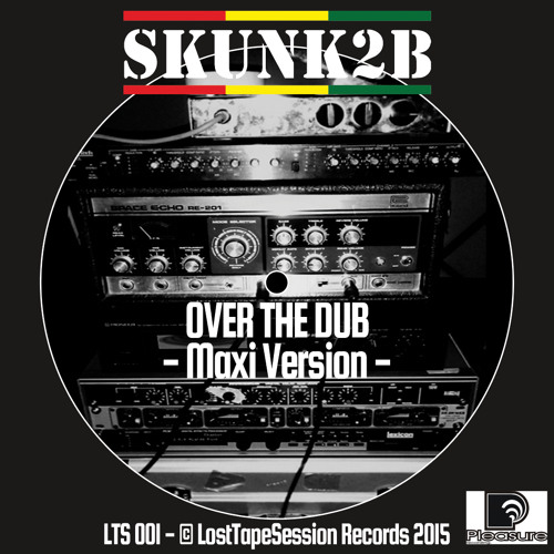 Stream Over The Dub - Maxi Version by SKUNK2B | Listen online for free ...