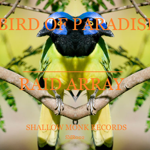 Stream Raid Array - Bird Of Paradise by shallowmonk | Listen online for ...