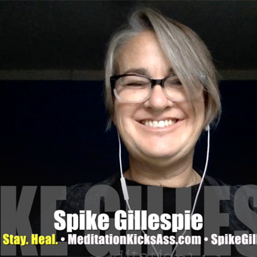 Stream If Spike Gillespie tells you Sit. Heal. Stay--try it! INTERVIEW by Mr. Media® | Listen ...