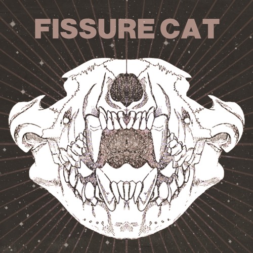 Stream Fissure Cat - Faces by Fissure Cat | Listen online for free on ...