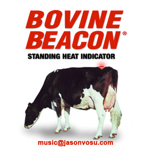 Stream Bovine Beacon by Jason Vosu | Listen online for free on SoundCloud