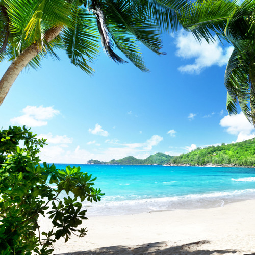 Tropically - Free music on ToneDen