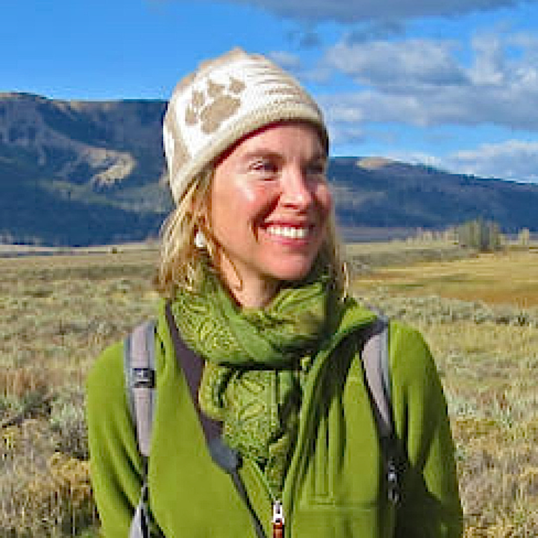 Stream The Story Behind Project Coyote by Cortes Currents (https ...
