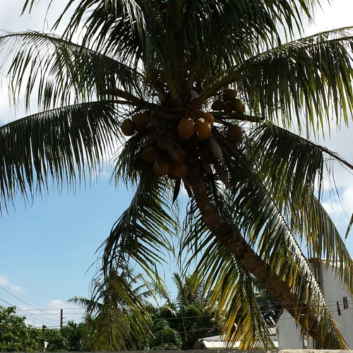 Stream Broken Heart at Sonsorolese by Jeff Kintoki | Listen online for ...