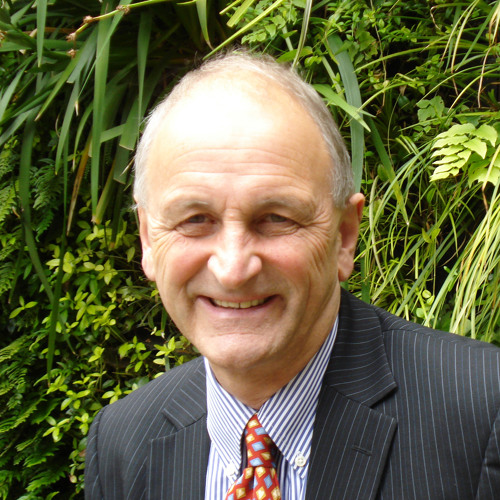 Stream Chris Ham: implementing the NHS five year forward view by ...