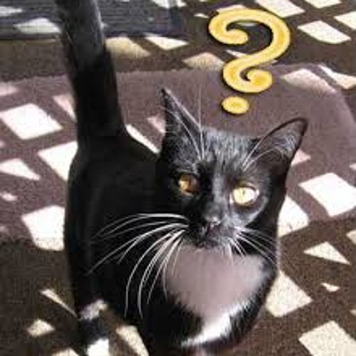 Stream Where Could He Be? by Barbara Fleet | Listen online for free on ...