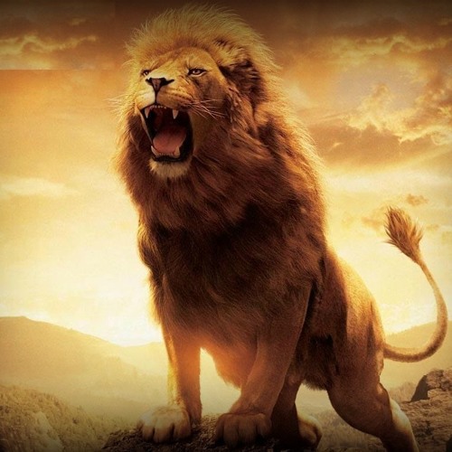 Stream Si Ruje El Leon Tobia Rosa by UsArmy3947 | Listen online for ...