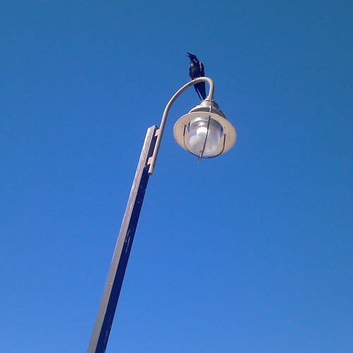 Stream 8 Bit Analog - Halo Theme by Herr Sektion | Listen online for ...