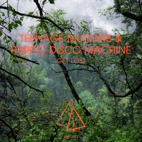 Teenage Mutants & Purple Disco Machine Tracks / Remixes Overview