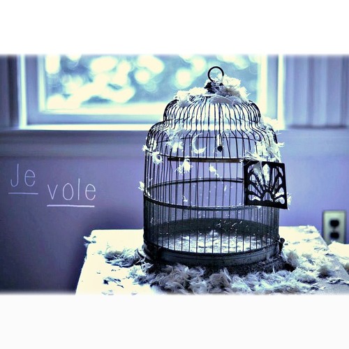 Stream Michel Sardou (Louane) - Je vole by James Mikey | Listen online ...