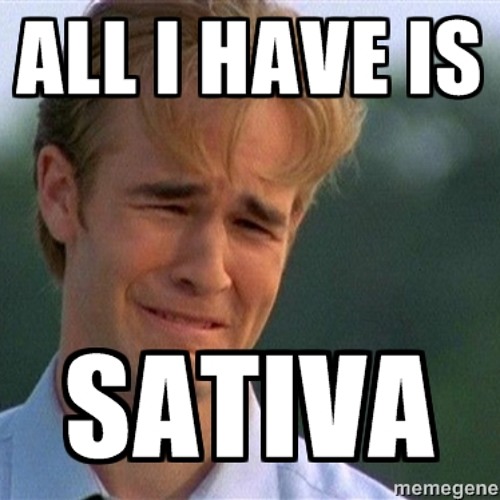 Stream Sativa Gold (CW/P/E/M/Ma) 2015 by Snoody Studios | Listen online ...