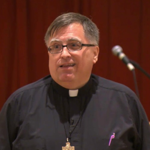 Stream Fr. Louis Molinelli, SDB: Your Catechetical Heritage: 200th ...