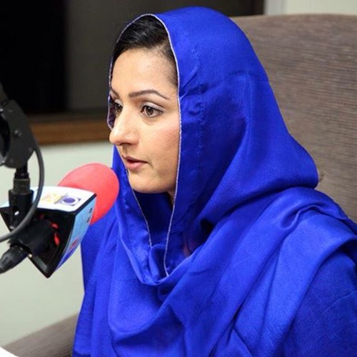 Stream Radio Chardi Kala Interview - Part 1 by Bapu Surat Singh Khalsa ...