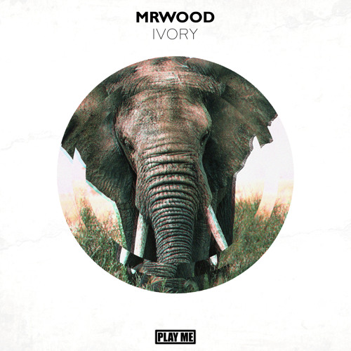 Stream mrWood - Ivory ft. Your Noise (Original Mix) [Free Download] by ...