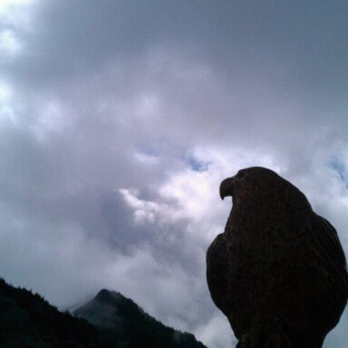 Stream 40 Below (and Falling ) by Victim of Gravity | Listen online for ...