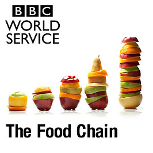Stream BBC World Service: Egypt's new smart card for bread by Ester ...
