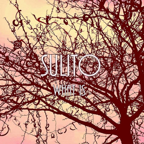 Stream What Is by Sulito | Listen online for free on SoundCloud