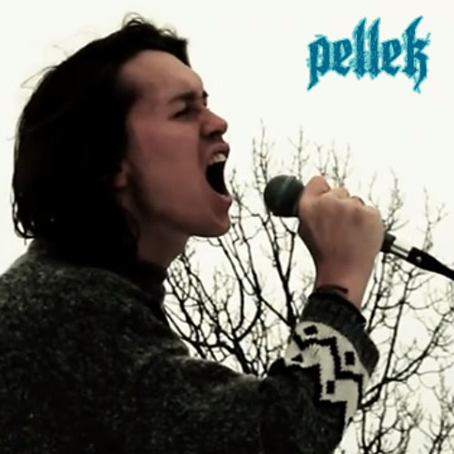 Stream AVENGED SEVENFOLD SEIZE THE DAY (Cover) by Pellek | Listen ...